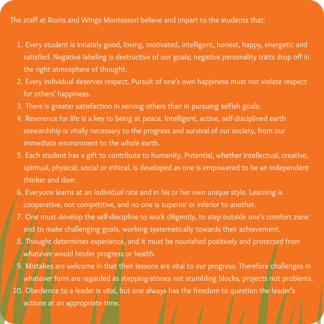 Guiding Lights: Unveiling the Core Tenets of Roots & Wings - Roots ...